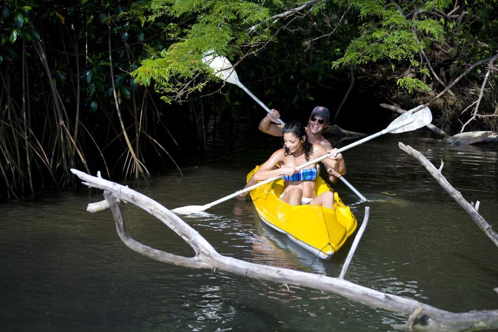 ALLEGRO PAPAGAYO GUANACASTE